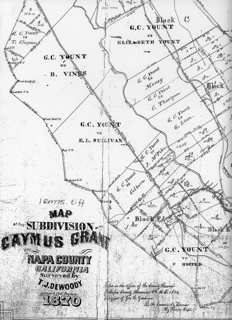 HISTORY – Rutherford Dust Society